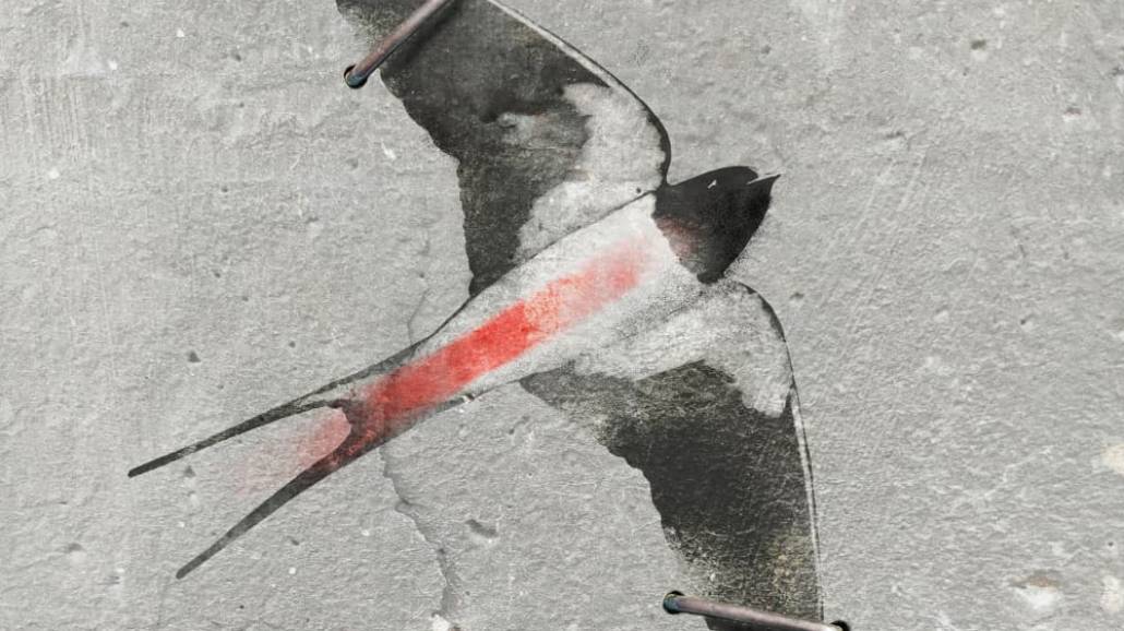 Celeste Dalla Porta - kim jest nowa muza Paolo Sorrentino? - Bogini ...